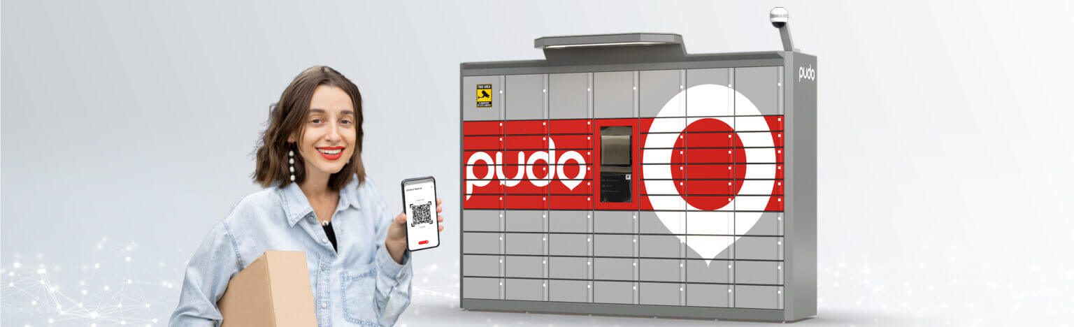 How Does the System Work? - pudo