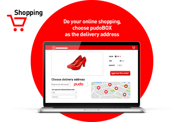 How Does the System Work? - pudo