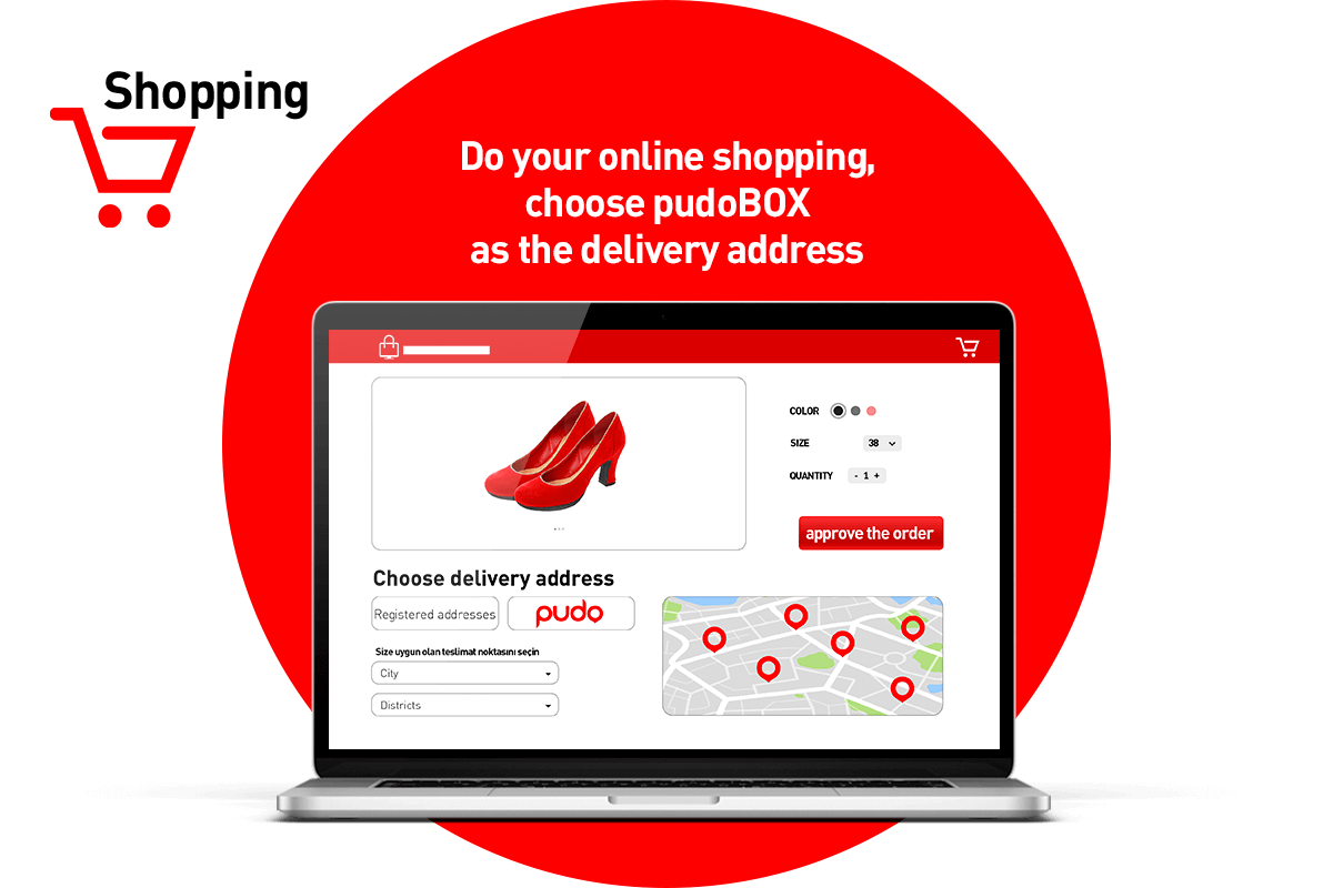 How Does the System Work? - pudo